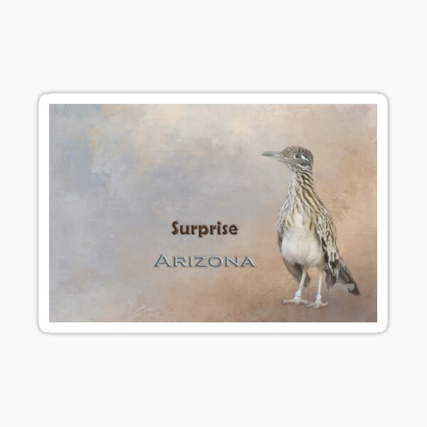 "Roadrunner Surprise Arizona" Sticker for Sale by fineart2017 | Redbubble