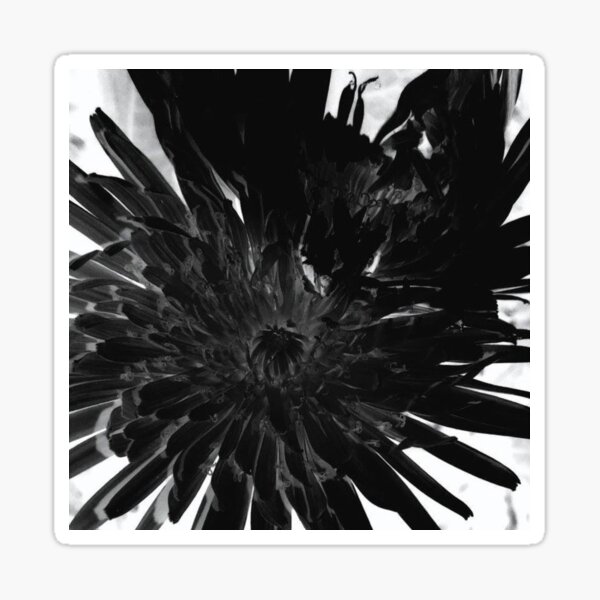 "dandelion infrared" Sticker for Sale by Francespoppy | Redbubble