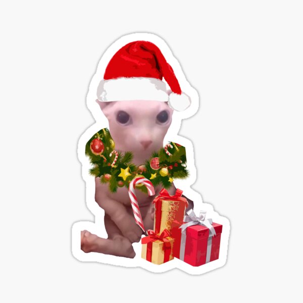 Pegatina «Meme de Bingus de Navidad - Gato de Bingus de Navidad amado ...