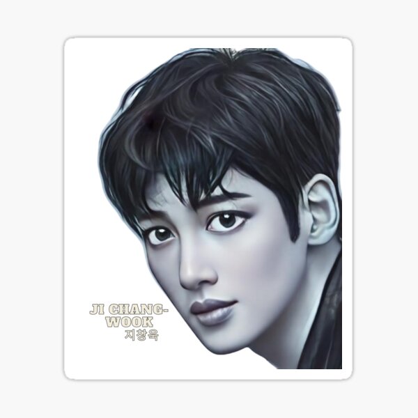 "Ji Chang-wook" Sticker for Sale by Kdrashop | Redbubble