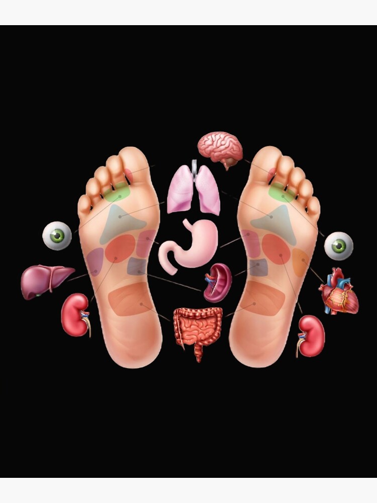 Foot Reflexology Map Poster For Sale By Lisaverbeeck Redbubble
