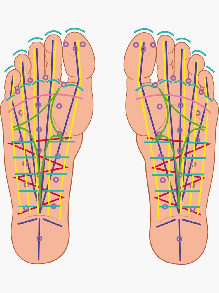 "Thai Foot Reflexology Map " Sticker for Sale by LisaVerbeeck | Redbubble