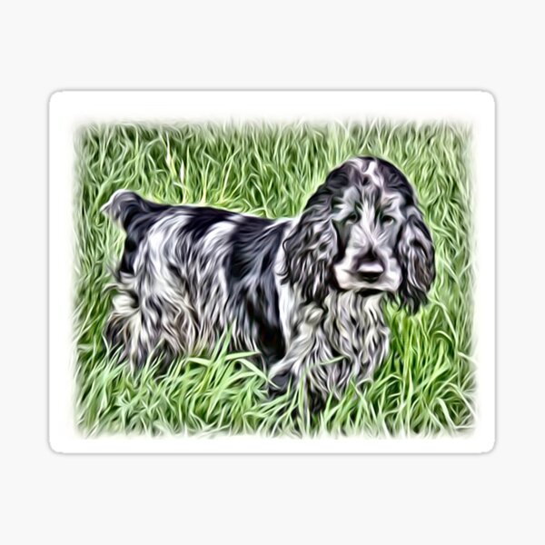 "English cocker spaniel" Sticker by IowaArtist | Redbubble