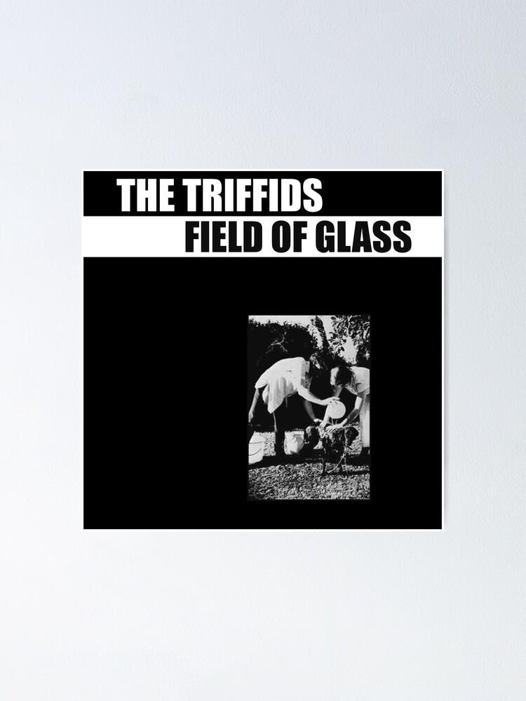 "The Triffids Calenture" Poster for Sale by Jimmyrenac | Redbubble