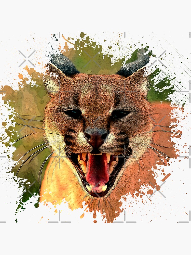 "Wild Cat" Sticker for Sale by Skvor | Redbubble