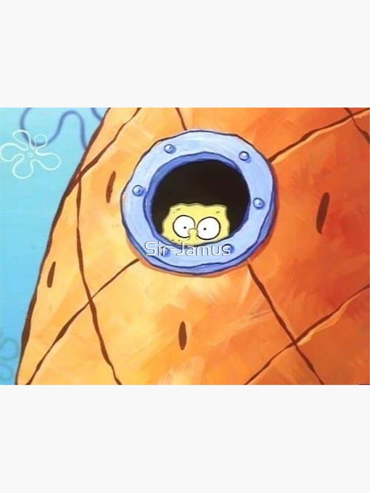 "Spongebob at the Window" Sticker by Sir-Jamus | Redbubble
