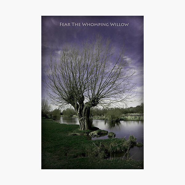 Whomping Willow Gifts & Merchandise | Redbubble