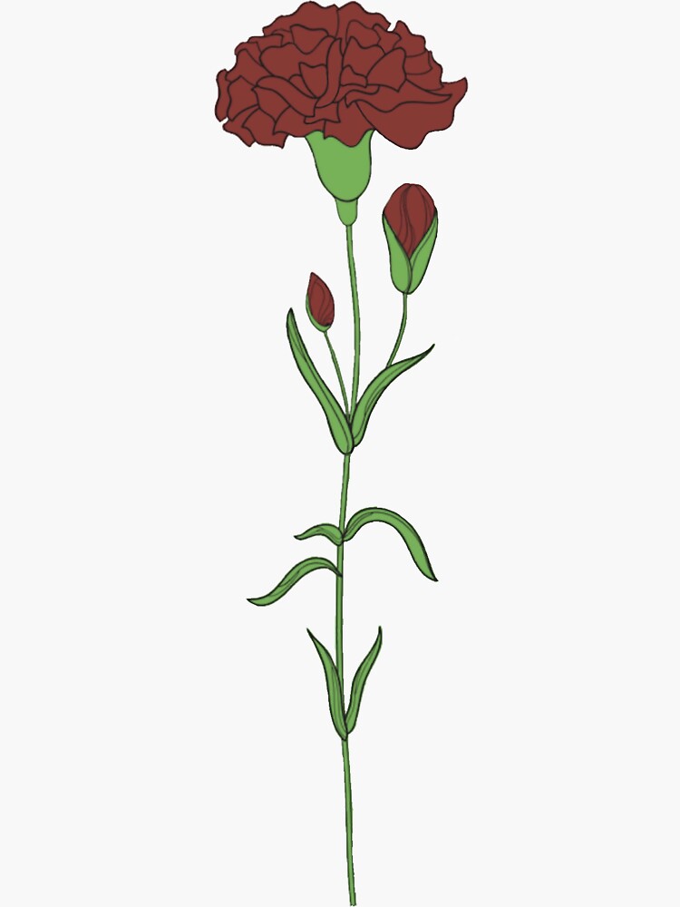 "January Birth Flower Carnation" Sticker for Sale by corneliaco | Redbubble