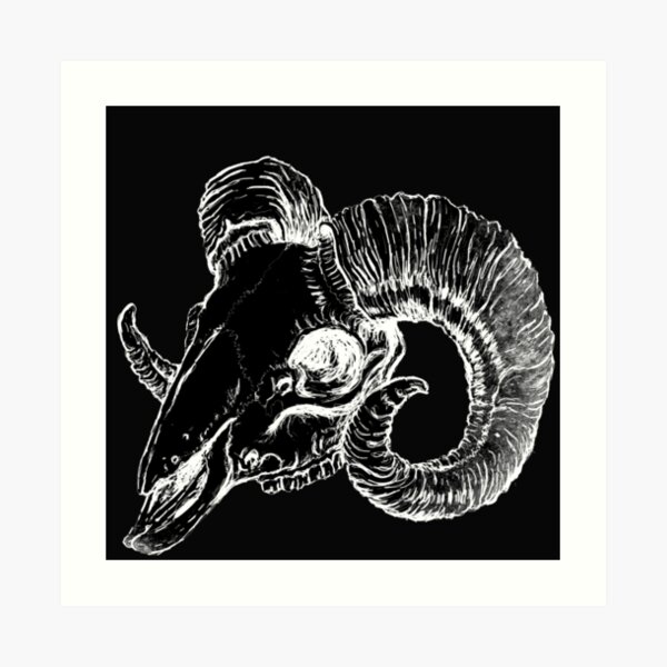 "Ram Skull" Art Print for Sale by ShayneoftheDead | Redbubble