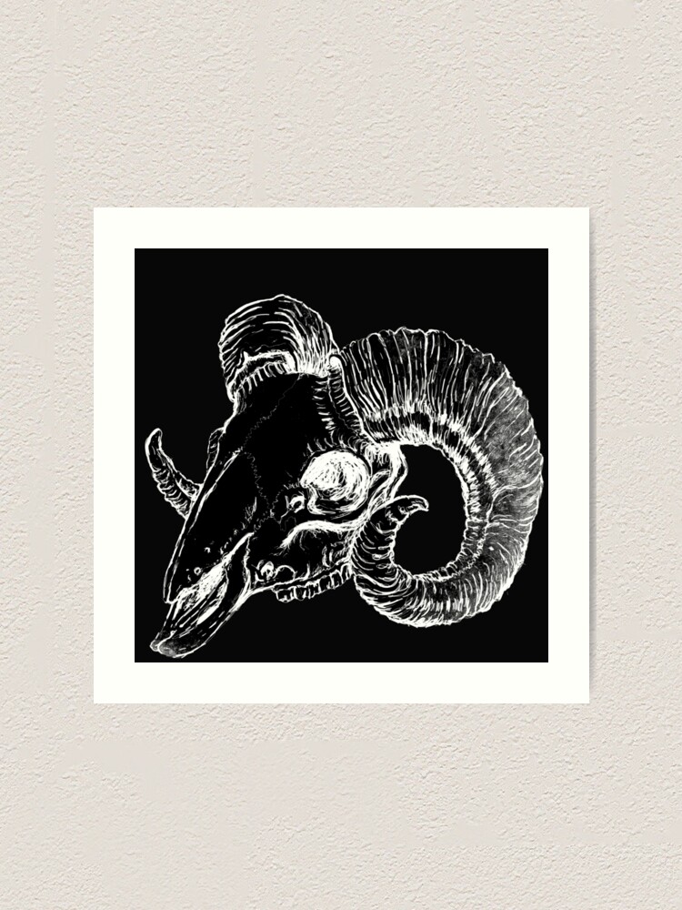 "Ram Skull" Art Print for Sale by ShayneoftheDead | Redbubble