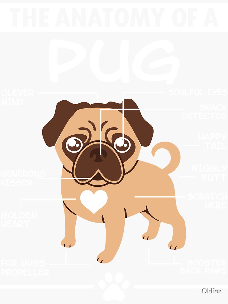 Pegatina «La anatomía de un pug» de Oldfox | Redbubble