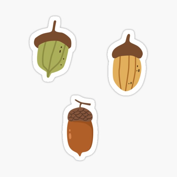 "Acorn cute adorable season fall autumn lover oak tree leaf plant ...