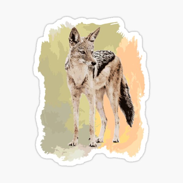 "Black-backed Jackal Watercolor Artwork for Jackal Fans" Sticker for ...