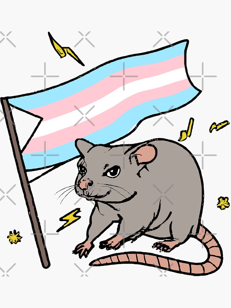 "LGBTQ cute trans pride rainbow rat" Sticker for Sale by tsfea | Redbubble