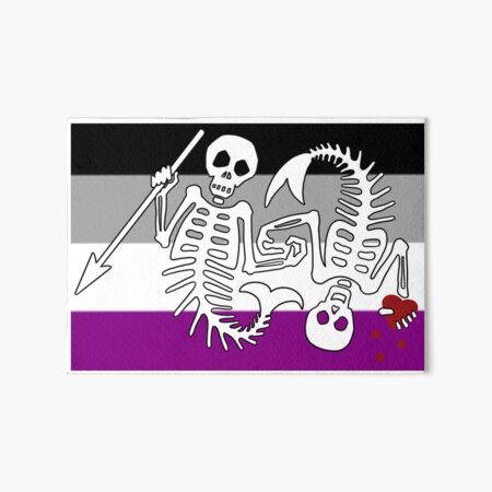 "OFMD season 2 asexual pride mermaid pirate flag Blackbeard Stede ...