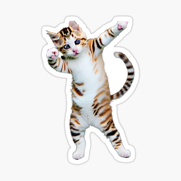 "dabbing cat kitten funny dab cool dance kitty" Sticker for Sale by ...
