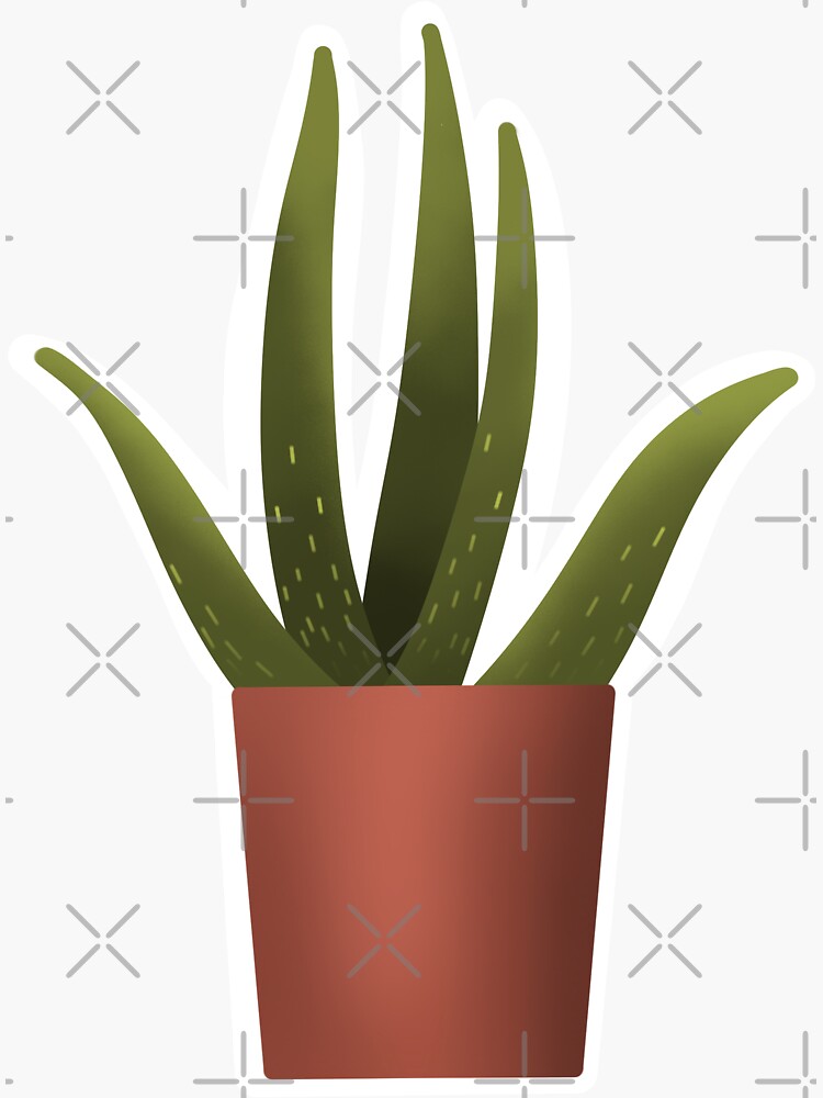 "Aloe Vera Illustration" Sticker for Sale by JourneysOfZ | Redbubble