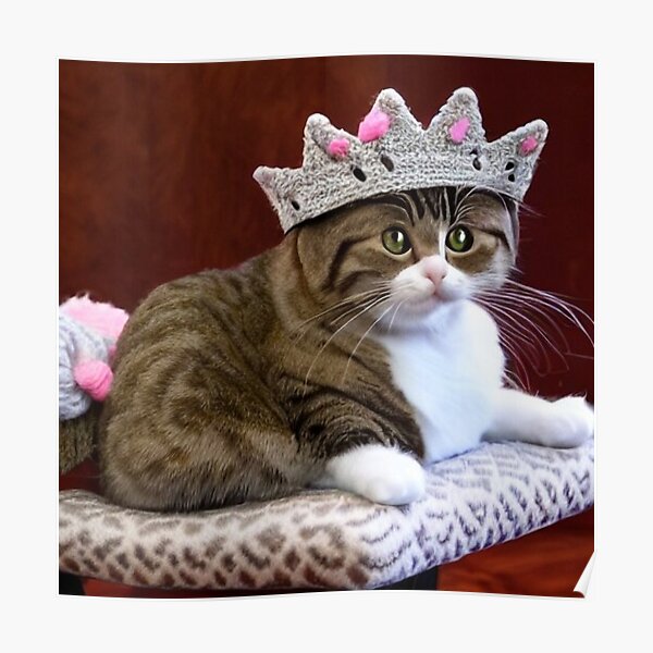 "Queen Cat" Poster for Sale by samkkee | Redbubble