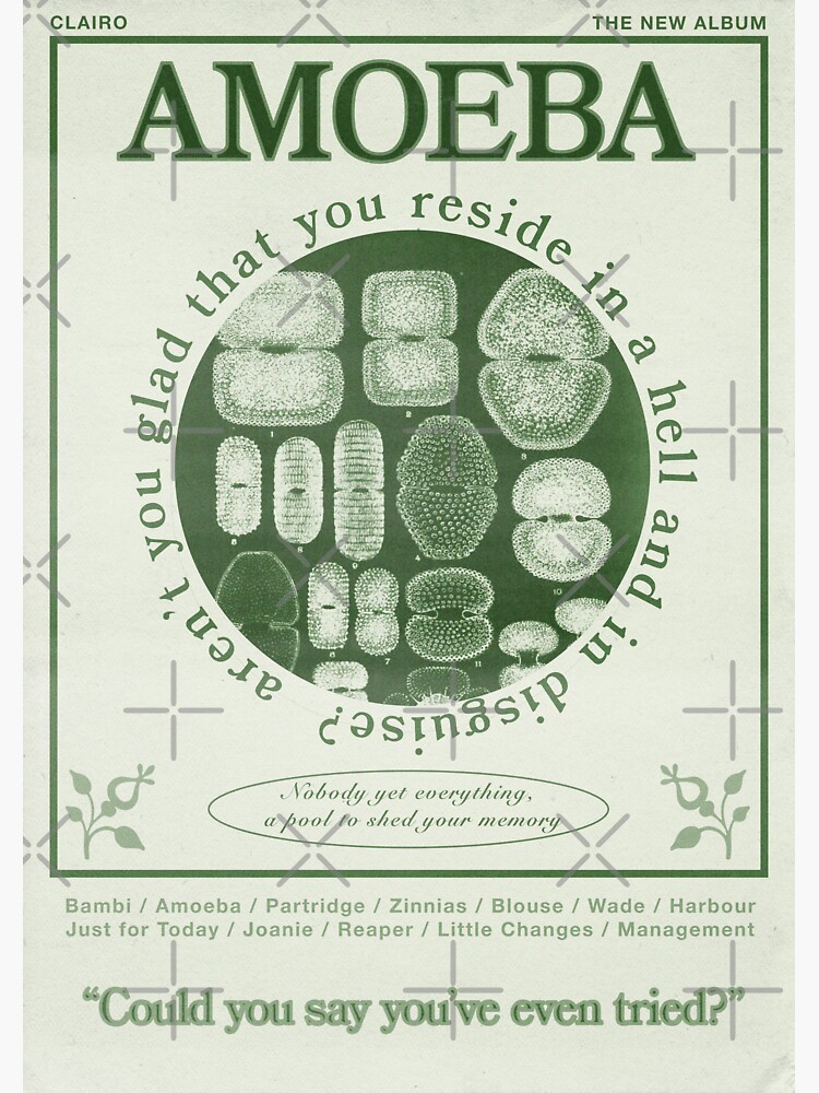 "Amoeba Clairo Sling" Sticker for Sale by lgsketches | Redbubble