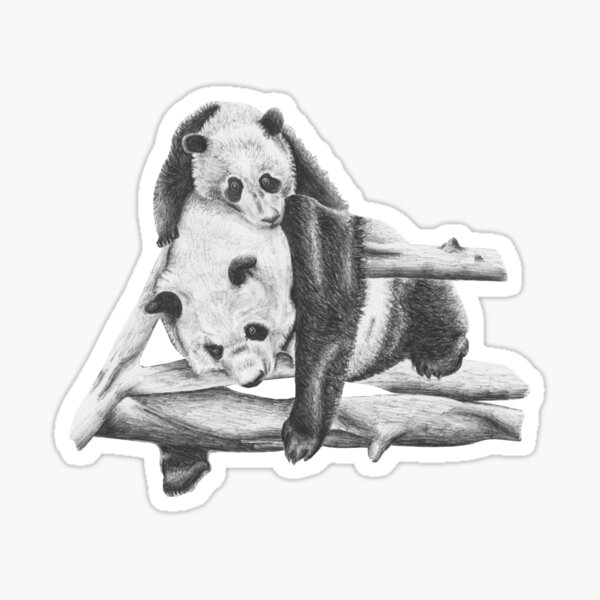 "Giant Pandas" Sticker for Sale by LillaArtNature | Redbubble