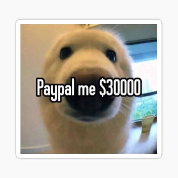 "PayPal Dog Meme" Sticker for Sale by Jacobb80 | Redbubble