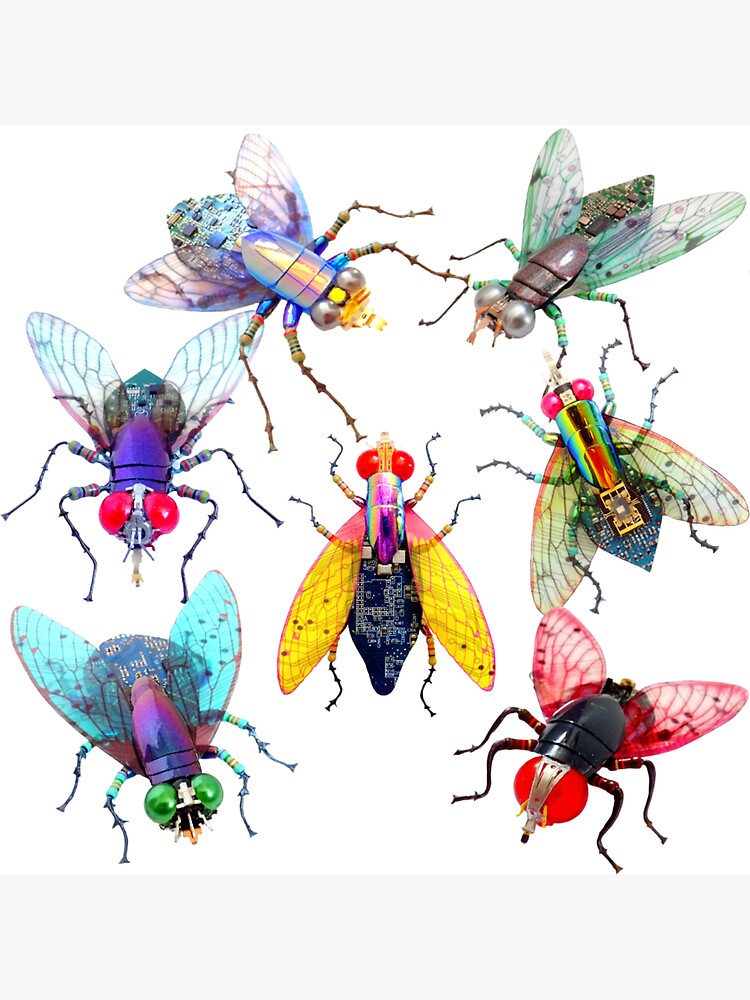 "There ain't no Flies on me" Sticker for Sale by juliealicechapp ...