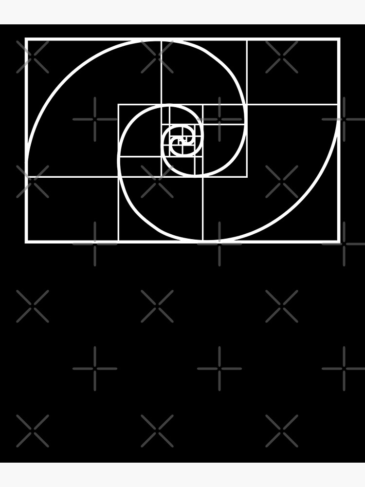 Lámina fotográfica «Día de Fibonacci para matemáticos - espiral de ...