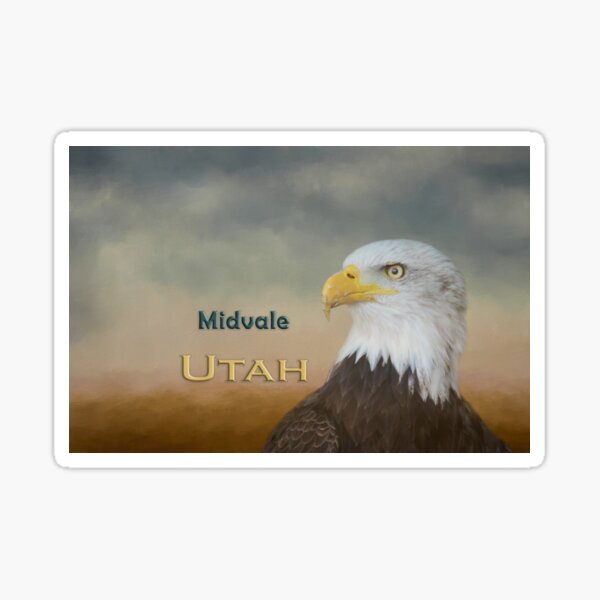 "Bald Eagle Midvale Utah" Sticker for Sale by fineart2017 | Redbubble
