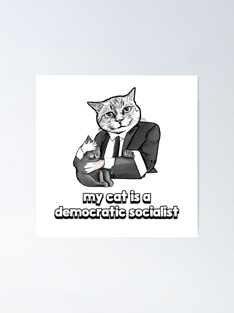 "My Cat Is A Democratic Socialist Kittens meme" Poster for Sale by ...