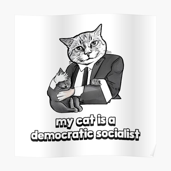 "My Cat Is A Democratic Socialist Kittens meme" Poster for Sale by ...