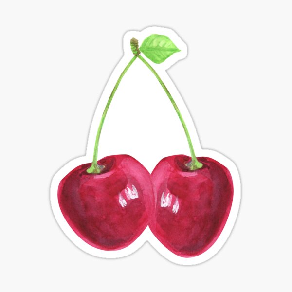 "Watercolor Cherries" Sticker for Sale by virillanissa | Redbubble
