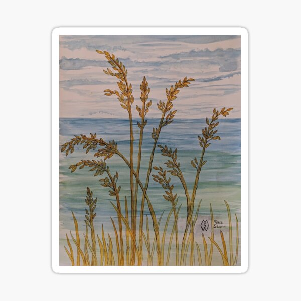 "Sea oats at the Emerald Coast " Sticker for Sale by mattstarr | Redbubble