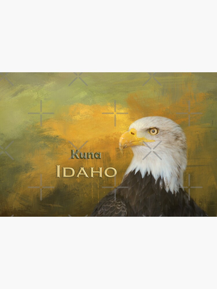 "Bald Eagle Kuna Idaho" Sticker for Sale by fineart2017 | Redbubble