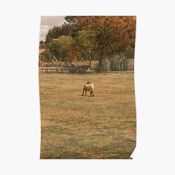 "the goat" Poster for Sale by mrecho-art | Redbubble