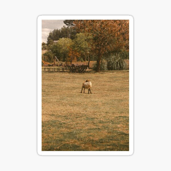 "the goat" Sticker for Sale by mrecho-art | Redbubble