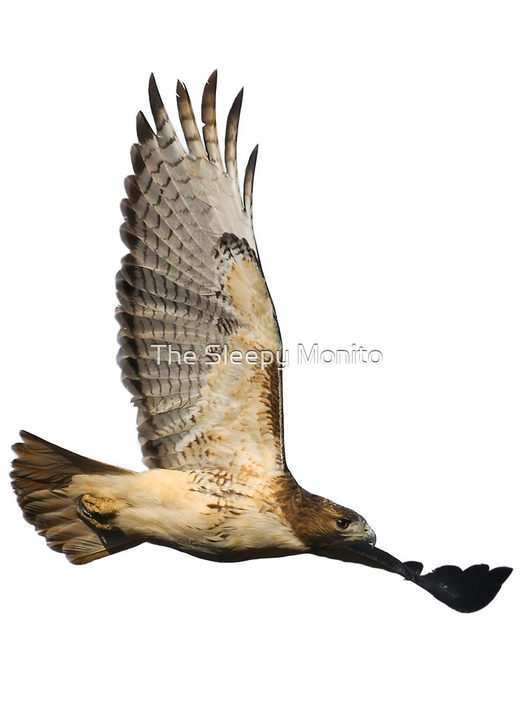 "Red-tailed Hawk" Kids T-Shirt for Sale by The Sleepy Monito | Redbubble