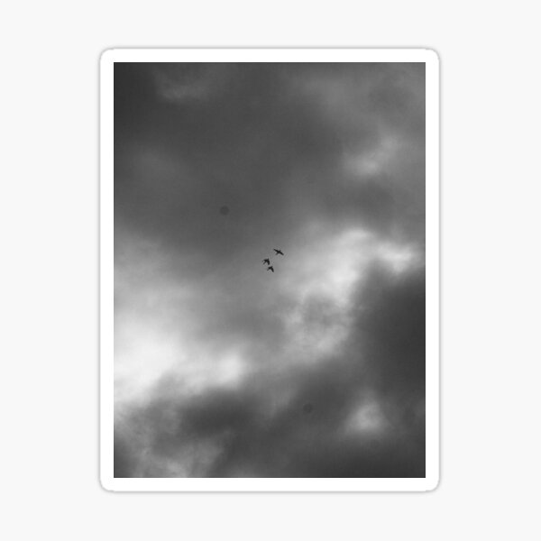 "storm" Sticker for Sale by mrecho-art | Redbubble