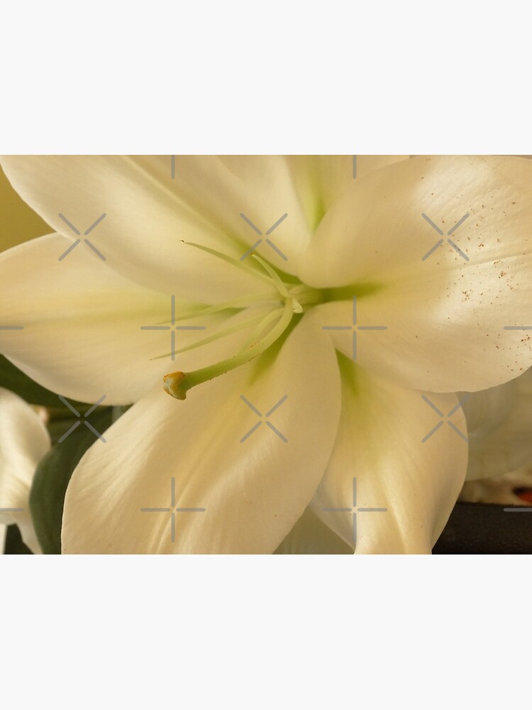 "Gentle " Poster by Manitarka | Redbubble