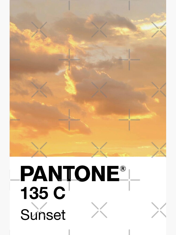 "Pantone Yellow Sunset" Sticker for Sale by beekindstudio | Redbubble