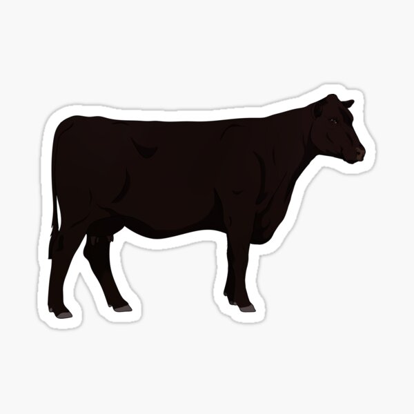 "Black Angus Cow" Sticker for Sale by mwinter2205 | Redbubble