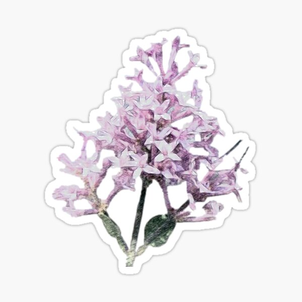 "Little Pink Flower" Sticker for Sale by Gi-Si | Redbubble