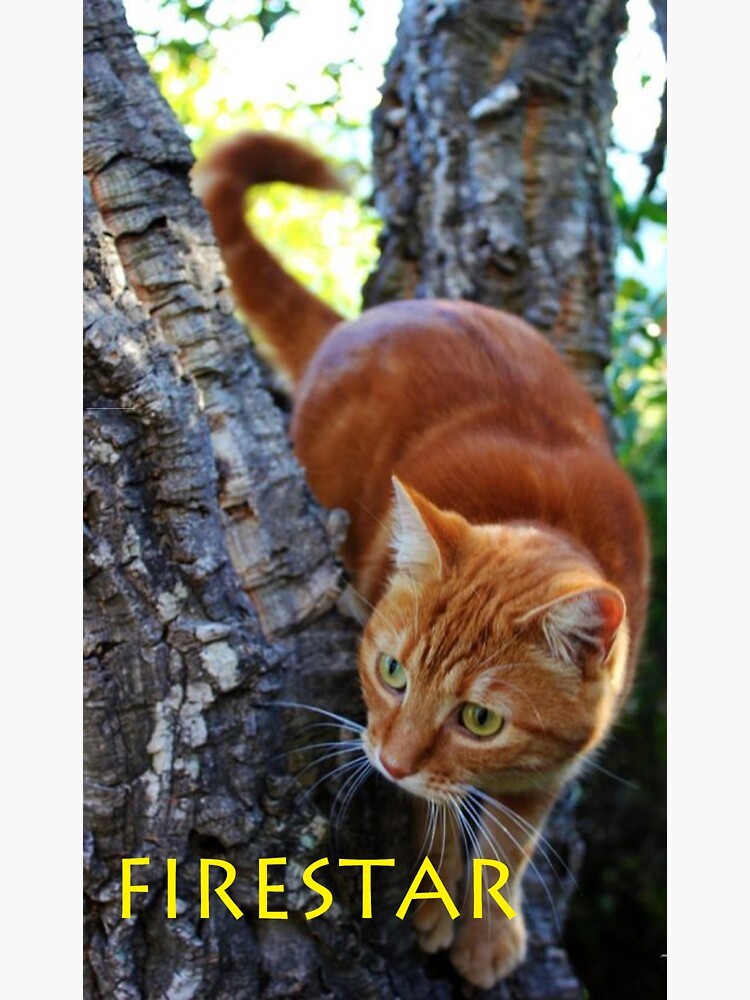 "Firestar" Sticker for Sale by sneakylittlebee | Redbubble