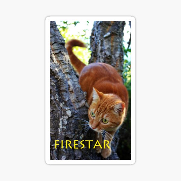 "Firestar" Sticker for Sale by sneakylittlebee | Redbubble