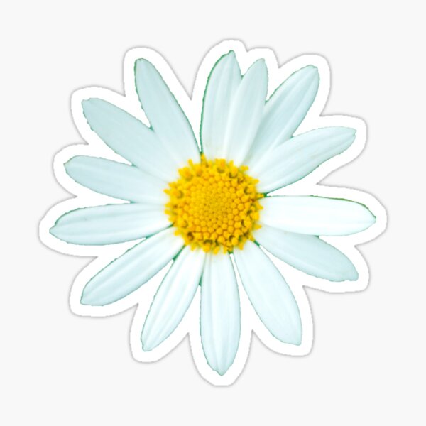 "Simple White Daisy " Sticker for Sale by Toomuchfunstuff | Redbubble