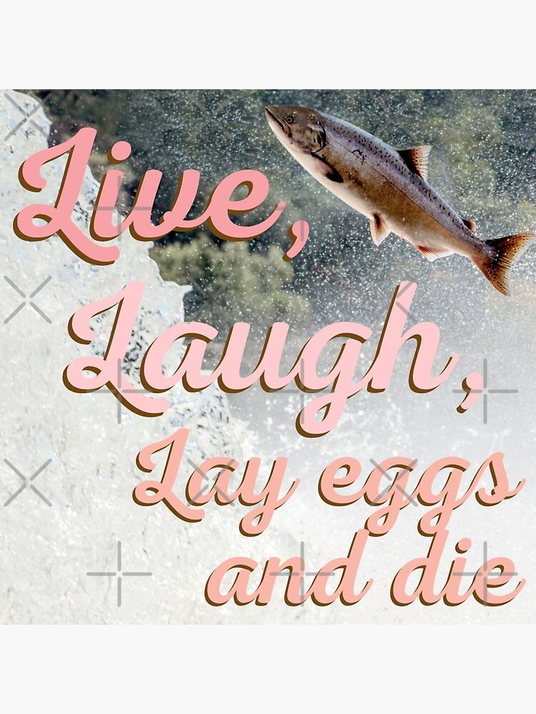 "Live, Laugh, Lay eggs and die" Poster for Sale by Handrixx | Redbubble