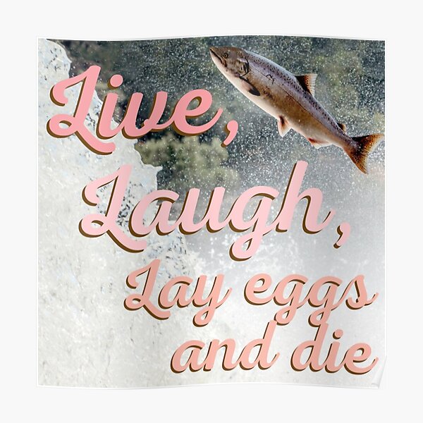 "Live, Laugh, Lay eggs and die" Poster for Sale by Handrixx | Redbubble
