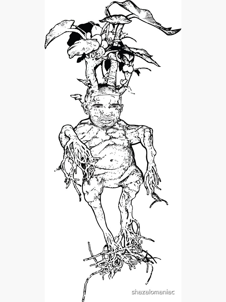 "manDRAKE" Poster by shazalomaniac | Redbubble
