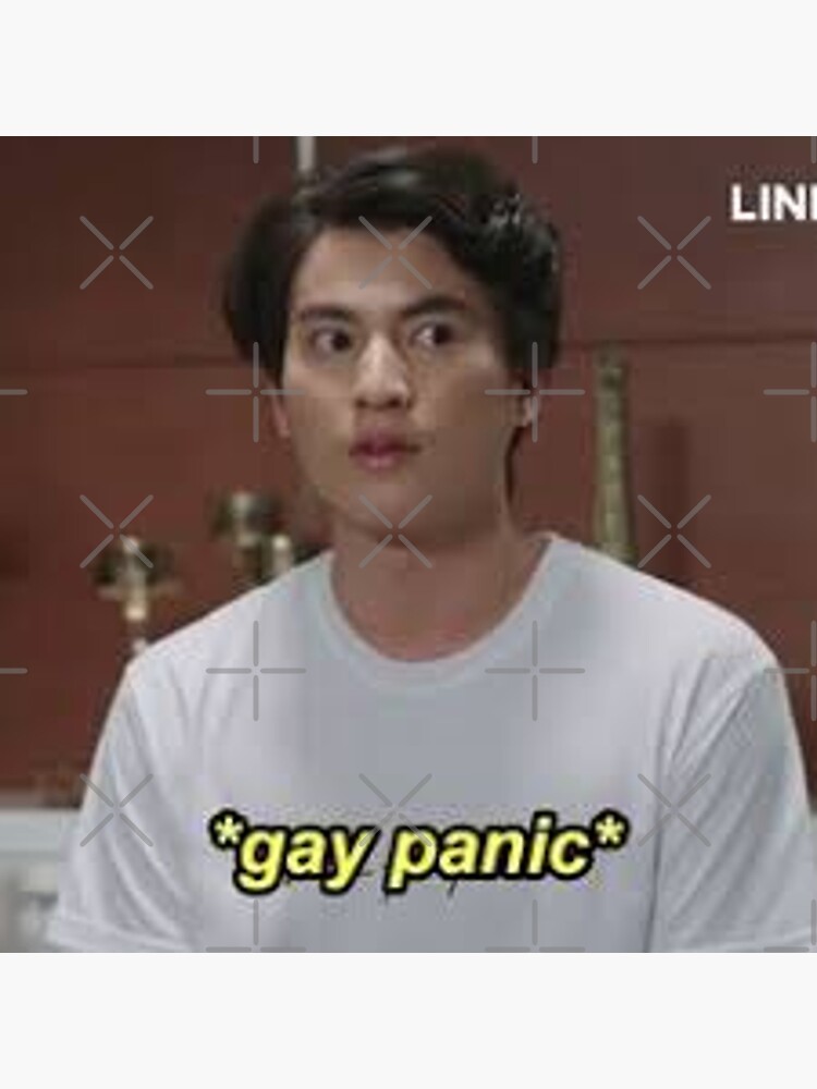"*gay panic*" Sticker for Sale by hyuli- | Redbubble