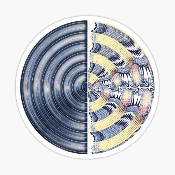 "Record round in pale blue and yellow bubbles " Sticker for Sale by ...