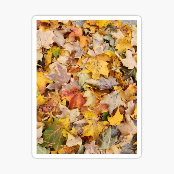 "Pile of Yellow Leaves" Sticker for Sale by MinaBohl | Redbubble